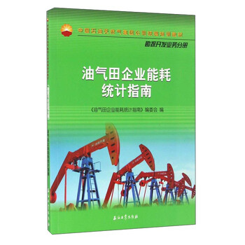  油气田企业能耗统计指南9787518313136
