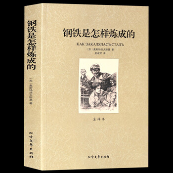 钢铁是怎样炼成的 全译本无删节 原版原著中文版 钢铁是怎么炼成的书籍 世界经典文学名著