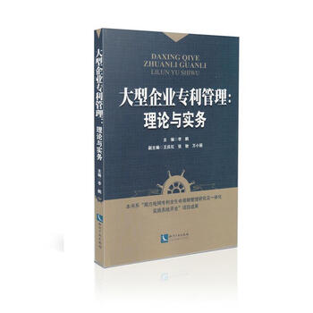 大型企业专利管理 理论与实务