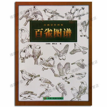 百雀图谱 素描 画鸟 国画书籍入门技法教材 天津人民美术出版社