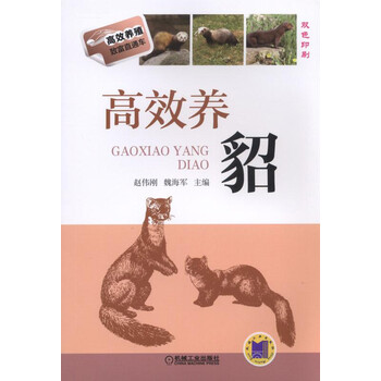 高效养貂