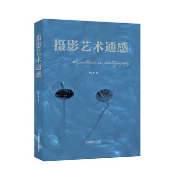 摄影艺术通感