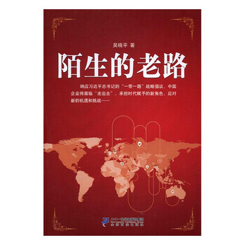 陌生的老路 书籍 经济 经济计划与管理