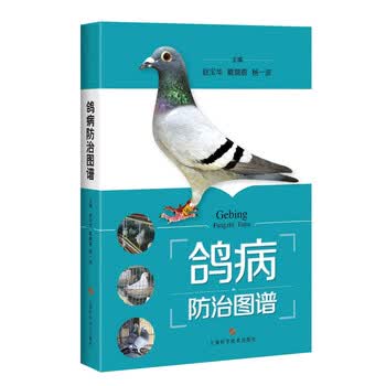 鸽病防治图谱