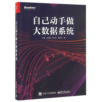 自己动手做大数据系统