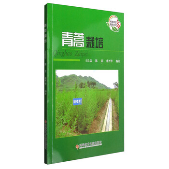 青蒿栽培