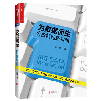 为数据而生：大数据创新实践/书籍/智能经济
