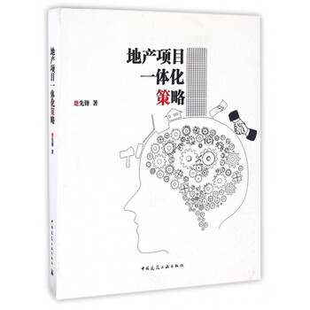 地产项目一体化策略