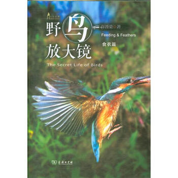 食衣篇-野鸟放大镜