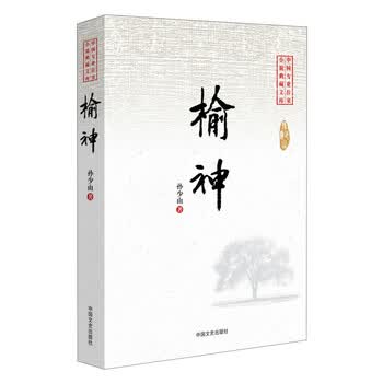 中国专业作家小说典藏文库：榆神