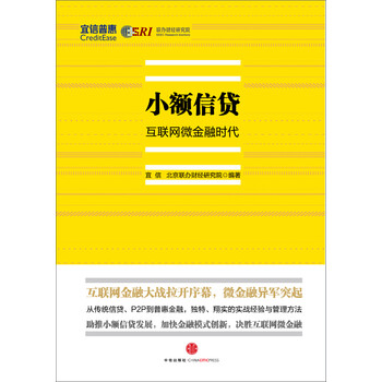  小额信贷：互联网微金融时代9787508646985