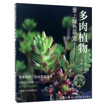 爱上绿色萌宠：多肉植物