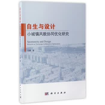 自生与设计：小城镇风貌协同优化研究