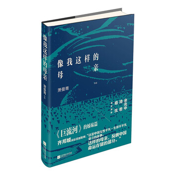 像我这样的母亲