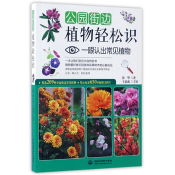 公园街边植物轻松识(一眼认出常见植物)