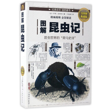 图解昆虫记（全彩图解典藏版）
