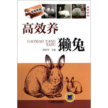 高效养獭兔(双色印刷)/高效养殖致富直通车