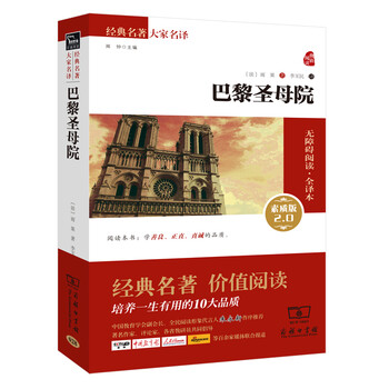 巴黎圣母院 新版 经典名著 大家名译（ 无障碍阅读 全译本平装）