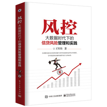 风控：大数据时代下的信贷风险管理和实践