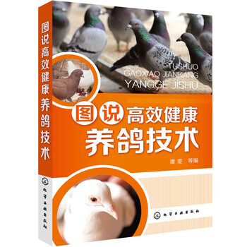 包邮 图说健康养鸽技术 养鸽子的书籍 肉鸽养殖书籍 饲料配制 饲养管理 常见病诊治