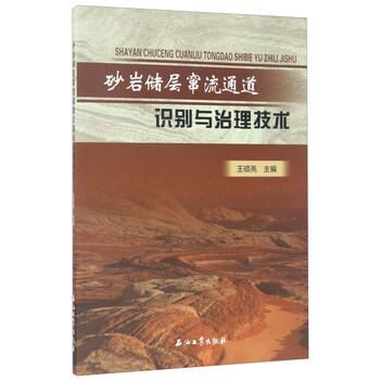 砂岩储层窜流通道识别与治理技术