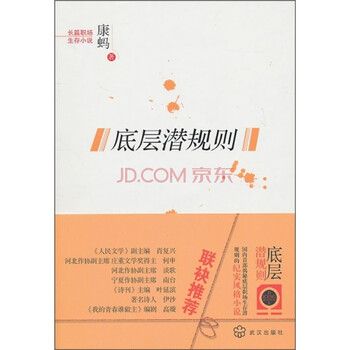   底层潜规则9787543053991武汉