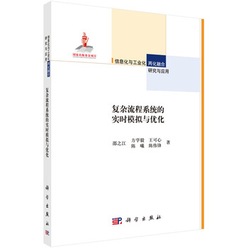 复杂流程系统的实时模拟与优化