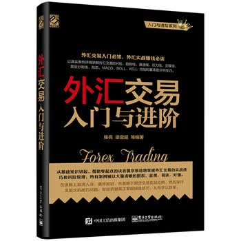 外汇交易入门与进阶(博文视点出品)