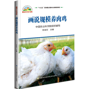 画说规模养肉鸡