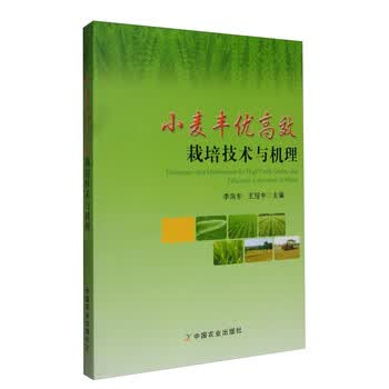 小麦丰优高效栽培技术与机理