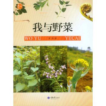 我与野菜