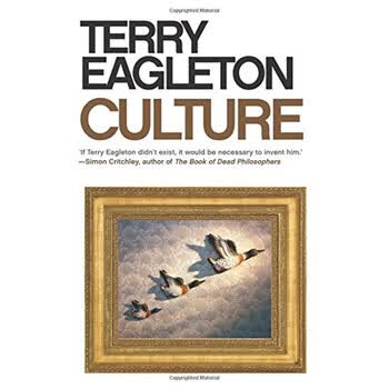 文化 英文原版 Culture 精装 文化批评与研究