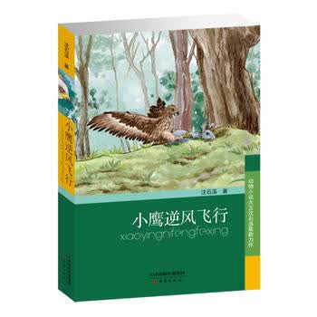 小鹰逆风飞行