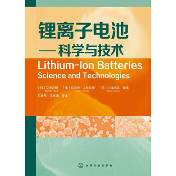 锂离子电池：科学与技术（世界首位锂离子电池发明者所著，行业公认经典著作）