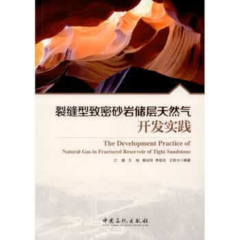 裂缝型致密砂岩储层天然气开发实践