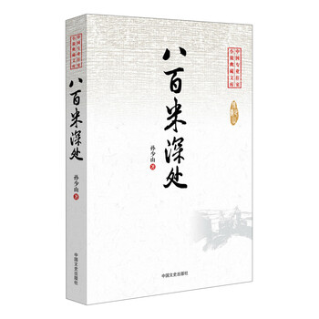 中国专业作家小说典藏文库：八百米深处