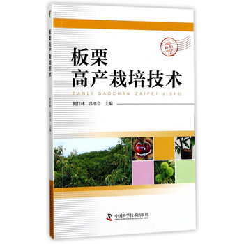 板栗高产栽培技术