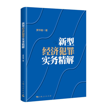 新型经济犯罪实务精解