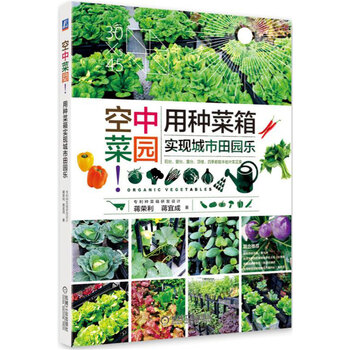 空中菜园：用种菜箱实现城市田园乐