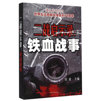 二战启示录：铁血战事