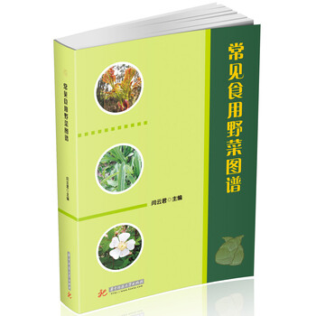 常见食用野菜图谱