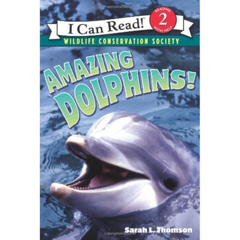 Amazing Dolphins!