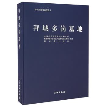 中国田野考古报告集：拜城多岗墓地