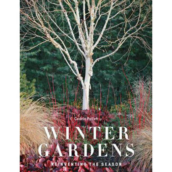Winter Gardens: Reinventing the Season