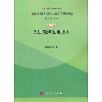 先进燃煤发电技术（第6卷）