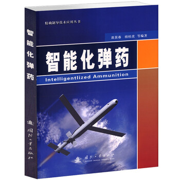 精确制导技术应用丛书：智能化弹药