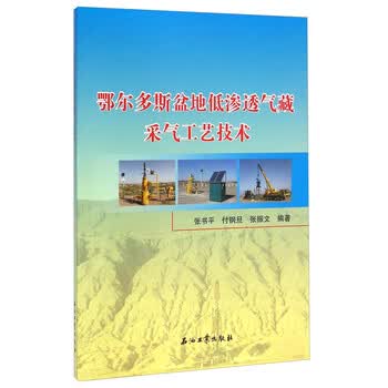 鄂尔多斯盆地低渗透气藏采气工艺技术