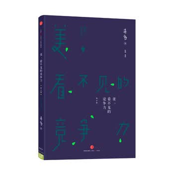 美，看不见的竞争力（修订版）