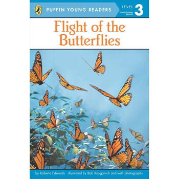 Flight of the Butterflies
