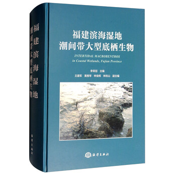 福建滨海湿地潮间带大型底栖生物